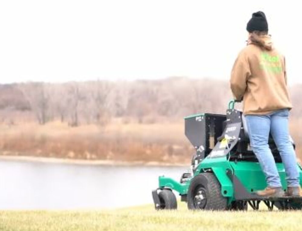 Yellow Nutsedge “The Lime Green Grass invader” - Excel Lawns & Landscape